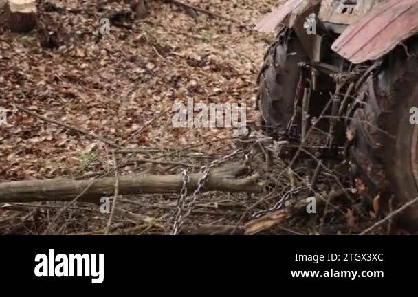 Skidder pulling logs on wood storage in forest. Spring has come in ...