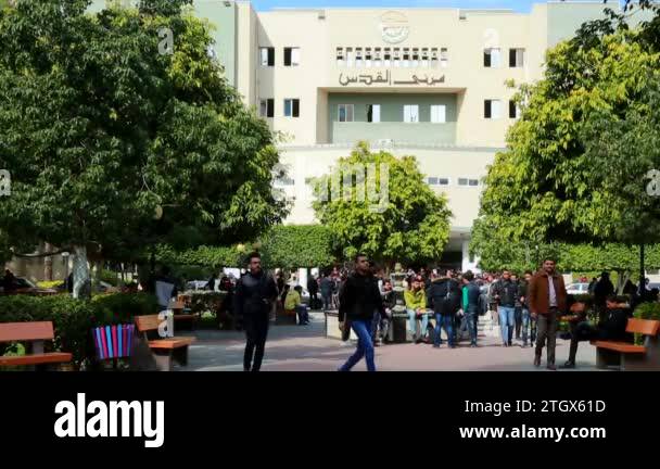 Students at the Islamic University of Gaza in Gaza City, West Bank, the ...