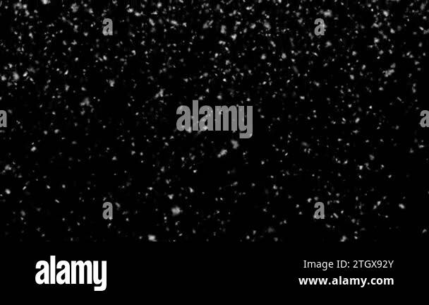 snowfall overlay, black background - winter, slowly falling snow effect ...