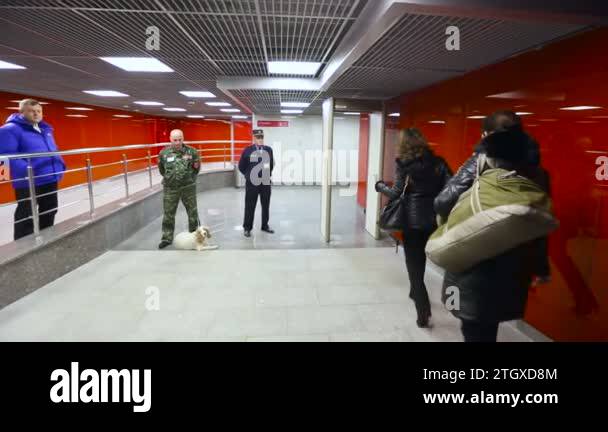 People Pass Through a Metal Detector Frames and go on the Escalator to ...