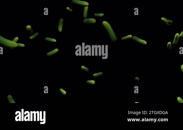 Cucumber Rain animation with transparent (alpha) background Stock Video ...