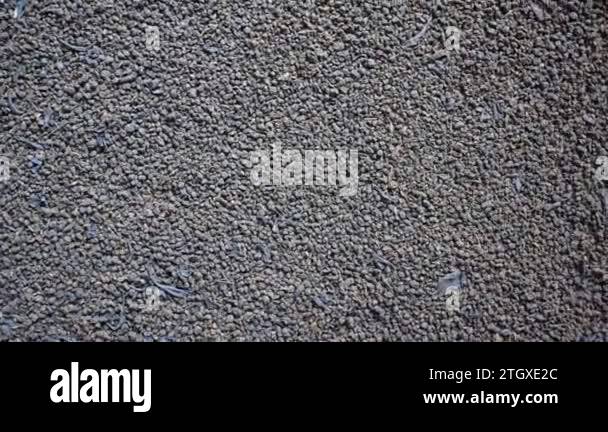 Coarse tea Stock Videos & Footage - HD and 4K Video Clips - Alamy