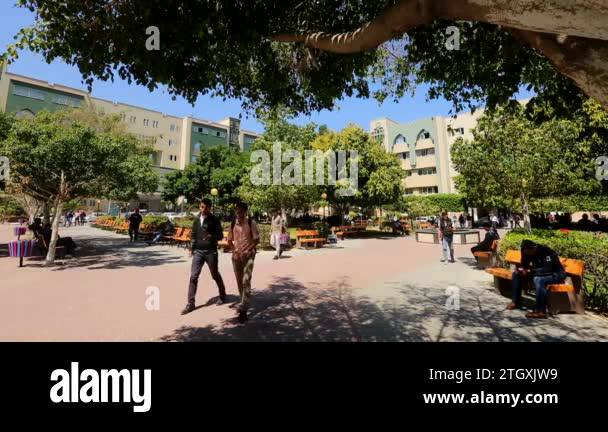 Students at the Islamic University of Gaza in Gaza City, West Bank, the ...