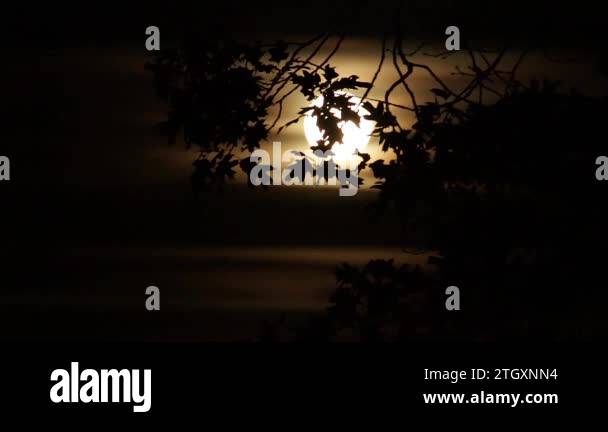 Background image yellow backlit Stock Videos & Footage - HD and 4K ...