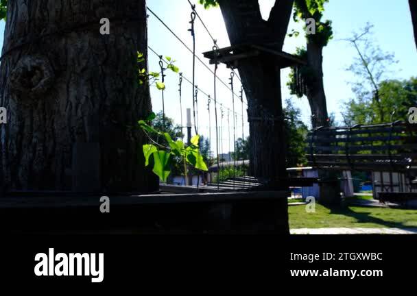 Rope park in the middle of the forest. Passing sports obstacles above ...