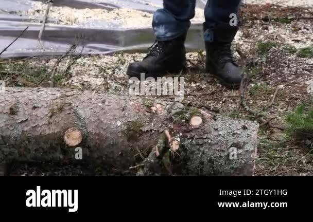Zoomed in clip on the safety boots of a forestry worker using a ...