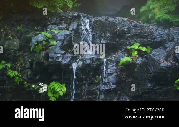 Water droplets falling off of a beautiful rock with moss and grass ...
