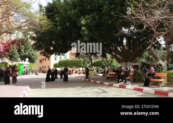 Female students at the Islamic University of Gaza in Gaza City, West ...