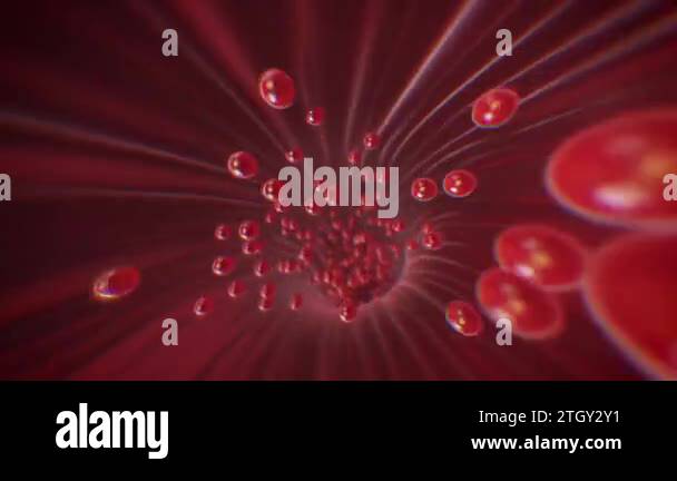 Red blood cells flowing through the blood - animation,blood flows ...