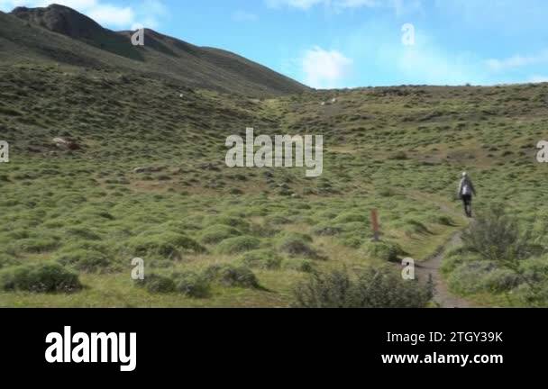 Guanacos patagonia Stock Videos & Footage - HD and 4K Video Clips - Alamy