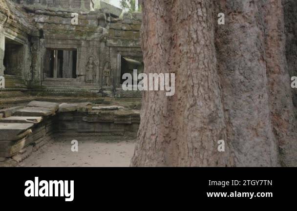 Ta Prohm Temple Bayon Style in Angkor Archeological Park - Tree Roots ...