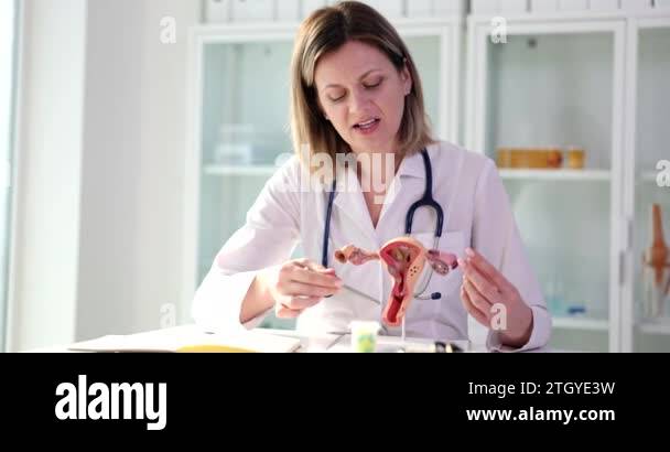 Doctor gynecologist showing diseases on artificial model of human ...