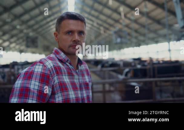 Rancher standing in modern cowshed looking camera close up. Portrait of ...
