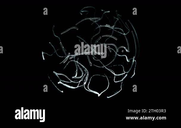 Circle formation Stock Videos & Footage - HD and 4K Video Clips - Alamy