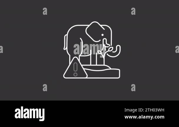 Line wildlife Stock Videos & Footage - HD and 4K Video Clips - Alamy