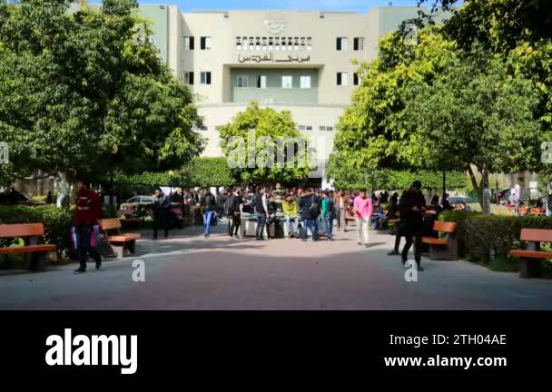 Students at the Islamic University of Gaza in Gaza City, West Bank, the ...