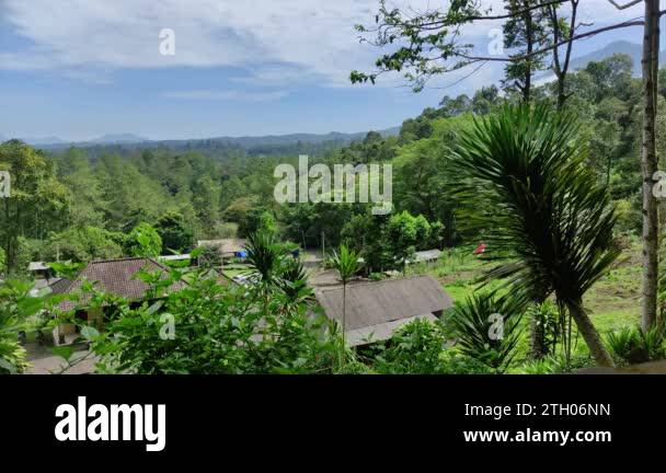Sai temple Stock Videos & Footage - HD and 4K Video Clips - Alamy