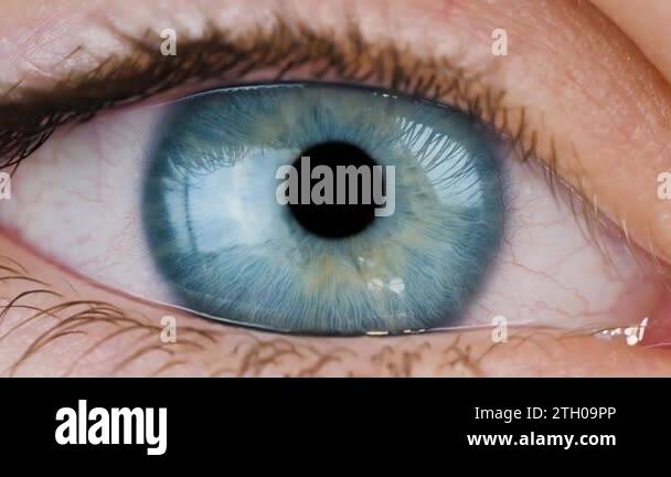 Human eye. Eyeball close up. Zoom into a pupil of the eye and zoom out ...