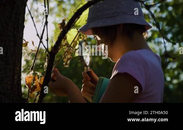 Cute adorable Caucasian girl kid looking at tree in forest through ...