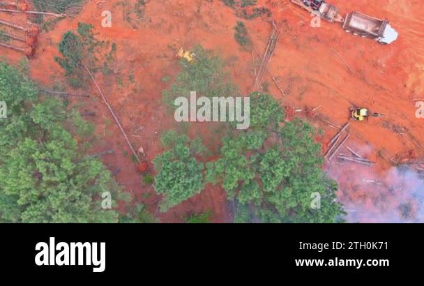 Cleaning the forest and preparing the grounds for construction with a ...
