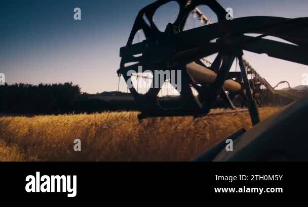 Rye harvest with combine harvester Stock Videos & Footage - HD and 4K ...