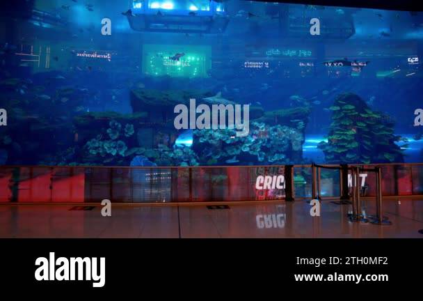 Large underwater aquarium and zoo in the shopping mall, known as the ...