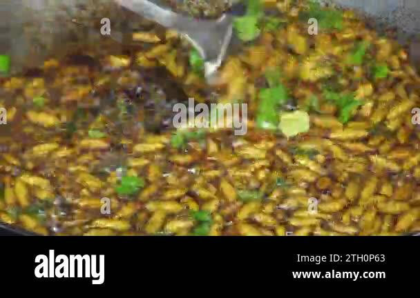 Korean butterfly Stock Videos & Footage - HD and 4K Video Clips - Alamy