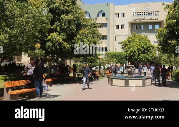 Students at the Islamic University of Gaza in Gaza City, West Bank, the ...