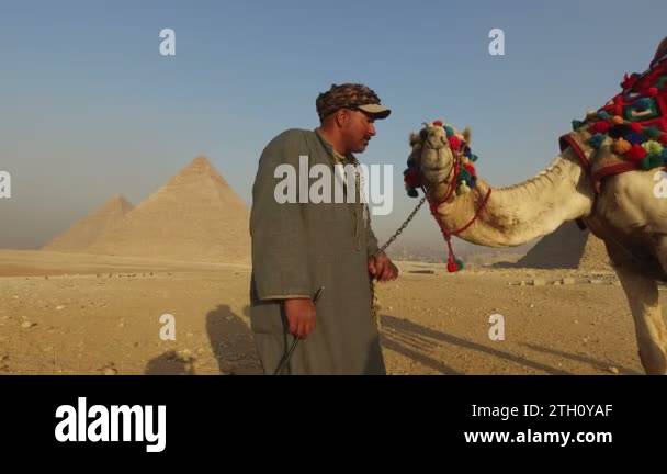 Man kissing camel Stock Videos & Footage - HD and 4K Video Clips - Alamy