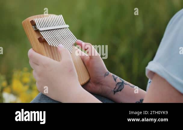 Mbira african instrument Stock Videos & Footage - HD and 4K Video Clips ...