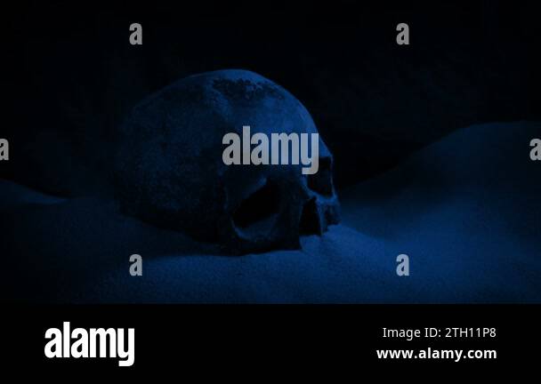 Buried bones Stock Videos & Footage - HD and 4K Video Clips - Alamy
