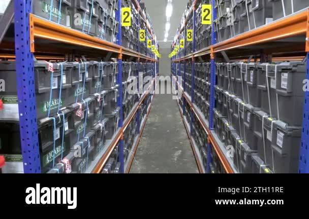 Inside the global seed vault. Shelves with seed boxes, stocks in Global ...