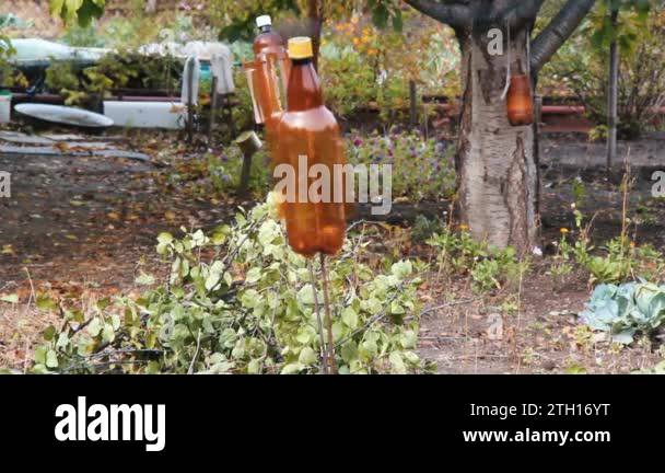 Homemade devices Stock Videos & Footage - HD and 4K Video Clips - Alamy