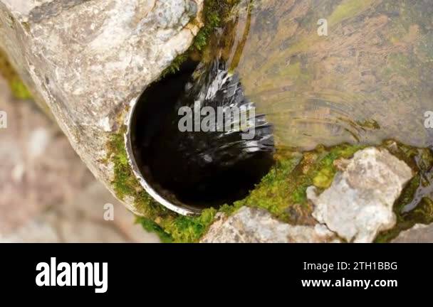 Draining pure spring water from a stone natural mossy container into a ...