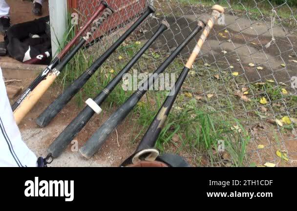 Do not touch bats Stock Videos & Footage - HD and 4K Video Clips - Alamy