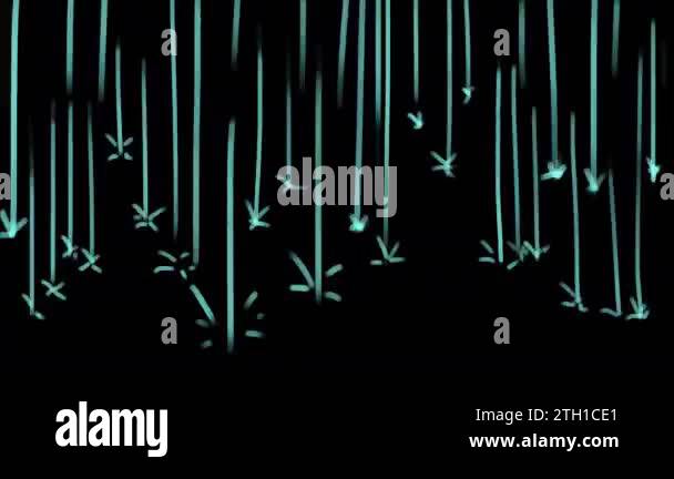 Cartoon blue drops on a black background. Simple doodle rain in 4k with ...