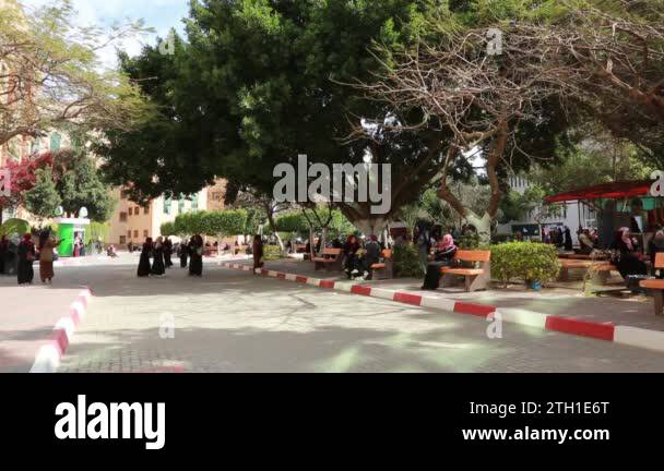 Female students at the Islamic University of Gaza in Gaza City, West ...