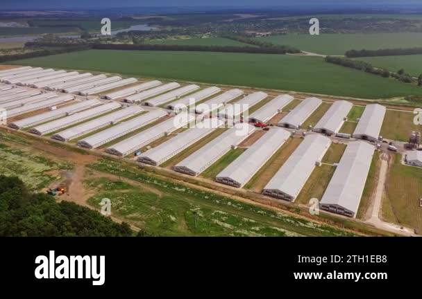 Poultry farms Stock Videos & Footage - HD and 4K Video Clips - Alamy