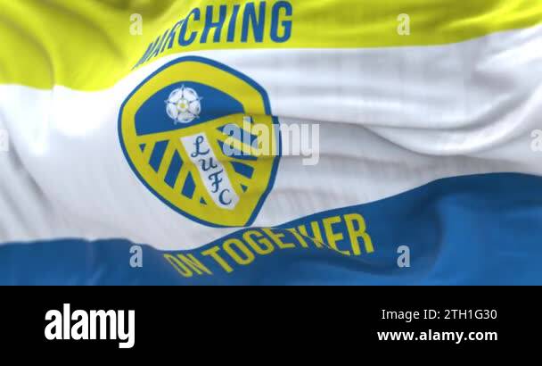 White rose blue flag Stock Videos & Footage - HD and 4K Video Clips - Alamy