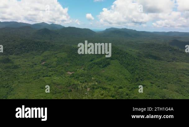 Mountain slopes covered with rainforest and jungle view from above ...