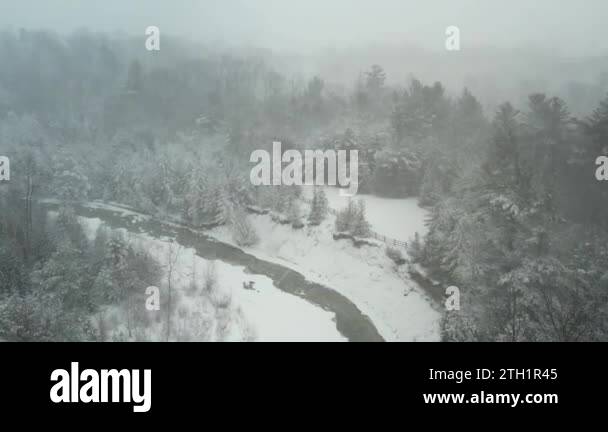 Heavy snowfall in the forest. Snowstorm landscape with falling snow at ...
