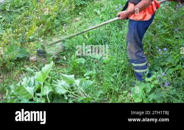 Man mows the grass with a manual petrol lawn mower in Slow Motion ...