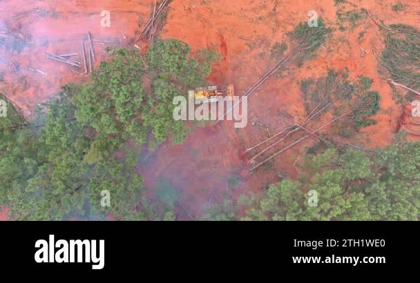 Dozer during deforest forest cleaning and preparing the land for ...