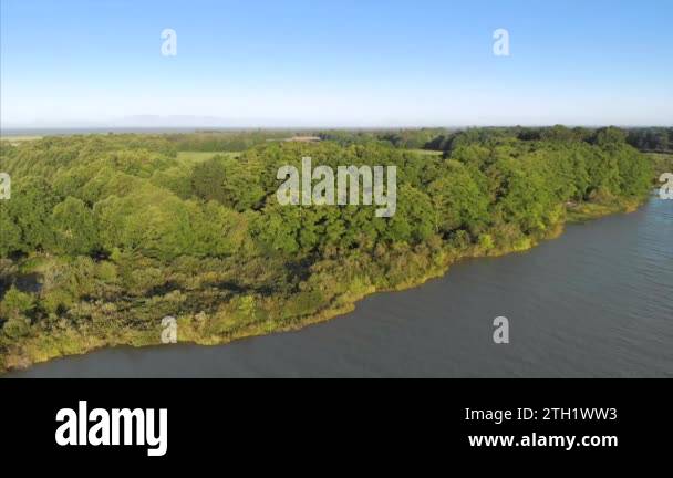 westham island, island, british columbia, delta, trees, forest, farm ...