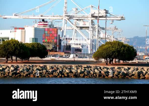 Container bay tree Stock Videos & Footage - HD and 4K Video Clips - Alamy