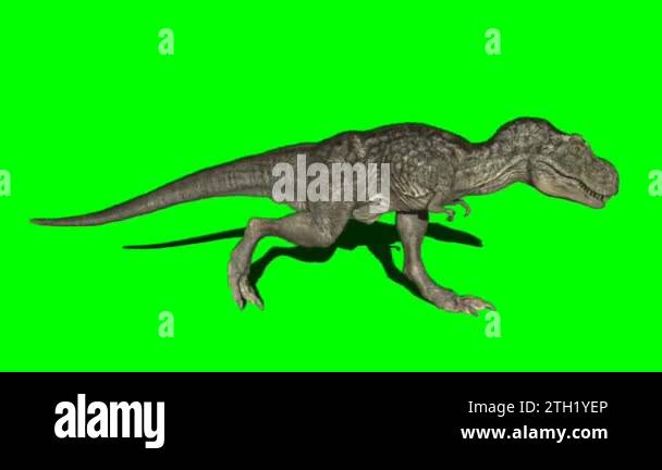 Tyrannosaurus rex Running on Green Screen Stock Video Footage - Alamy