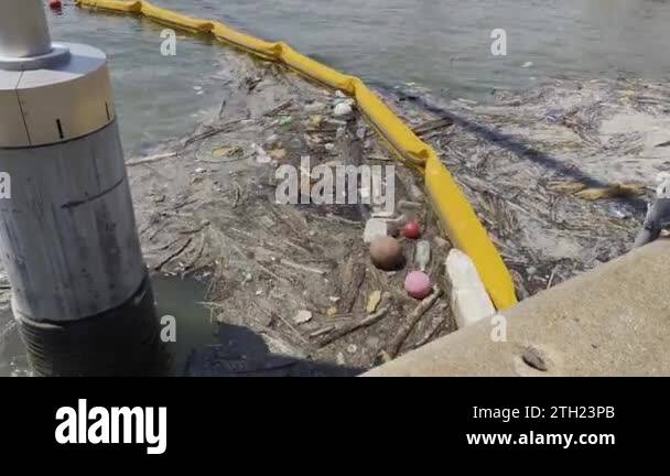 Floating debris in river blocked by yellow river boom; river pollution ...