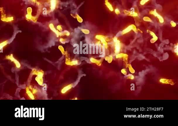 Fireballs flying along a complex trajectory. Bright magical meteors ...