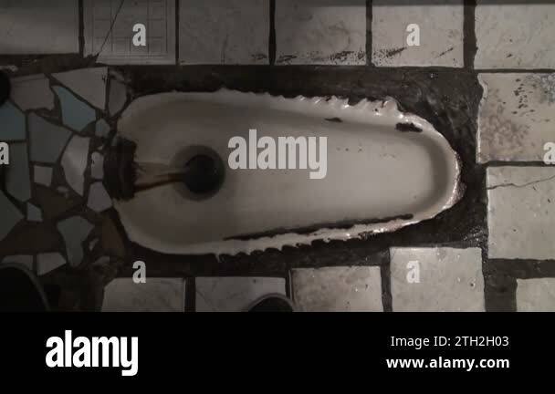 Disgusting toilet Stock Videos & Footage - HD and 4K Video Clips - Alamy