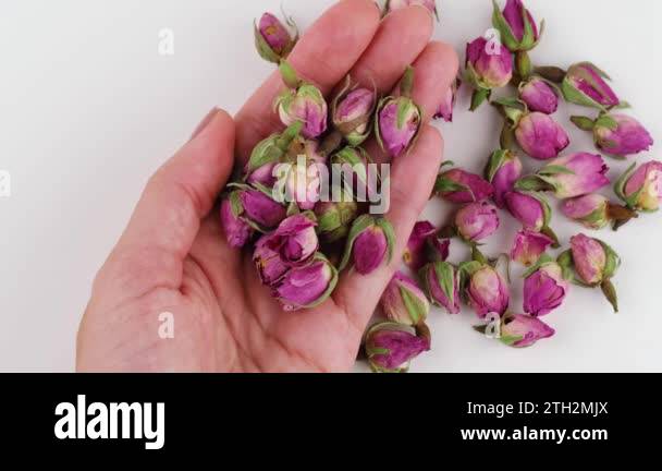 Dried rose flowers Stock Videos & Footage - HD and 4K Video Clips - Alamy